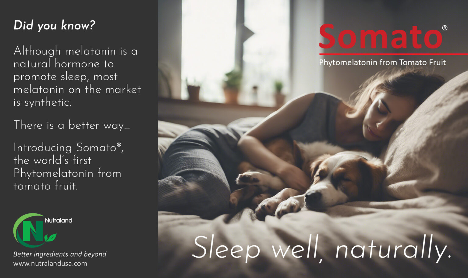 Somato® from NutralandUSA: Phytomelatonin From Tomato Fruit - Danielle ...